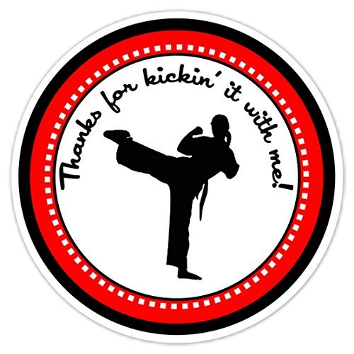 Amazon.com: Girl Karate Stickers, Karate Birthday stickers, Karate Girl ...