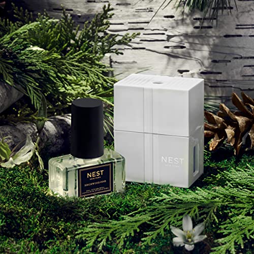 The 17 Best NEST Fragrances Diffusers of 2025 [Verified] - Cherry Picks