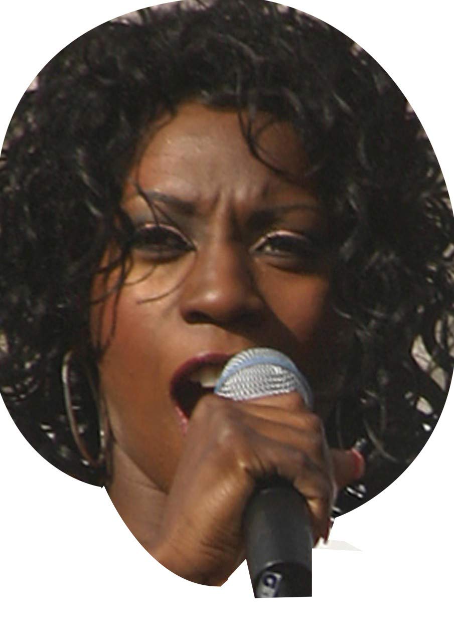 FoxyPrinting Heather Small On A Stick Celebrity Cardboard Party Face ...