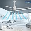Buy Crompton Energion Hyperjet 1200mm BLDC Ceiling Fan | Point Anywhere ...
