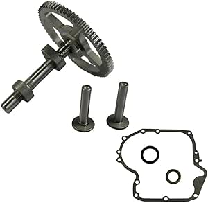 Amazon.com: WILD LOTION for for Briggs and Stratton 793880 camshaft ...