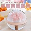 Amazon.com: Preserved Flower Portable Humidifier,270ml Capacity ...