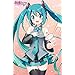 Amazon.com: Trends International Hatsune Miku-Music Note Wall Poster ...