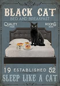 Amazon.com: MOPEP Black Cat Bed And Breakfast Sleep Like A Cat 12x8 ...