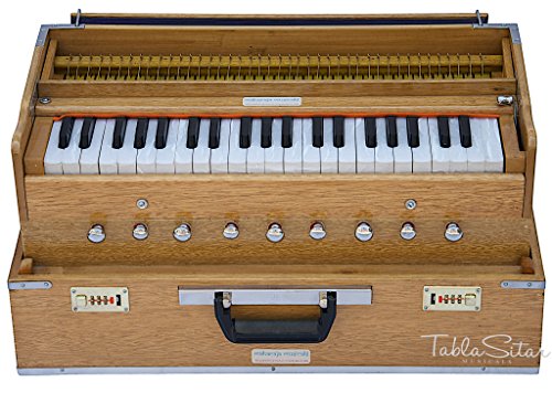 10 Best Harmoniums | 2025