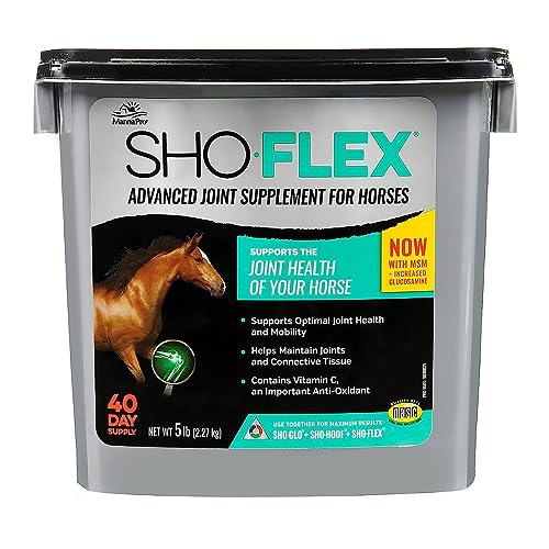 Top 10 Best Joint Supplement For Horses : Reviews & Buying Guide - Katynel