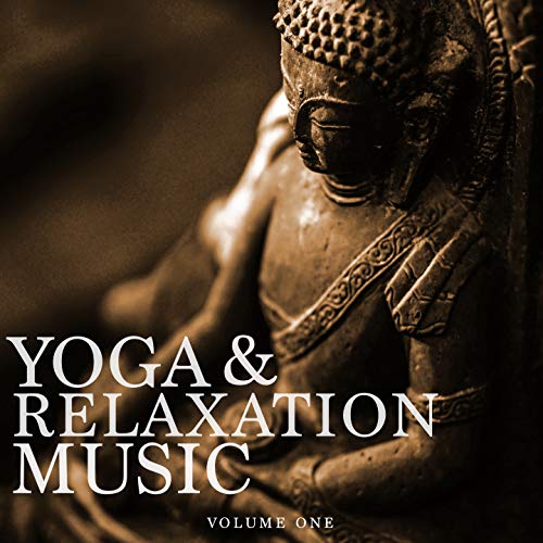 Amazon.com: Yoga & Relaxation Music, Vol. 1 (Wonderful Electronica ...