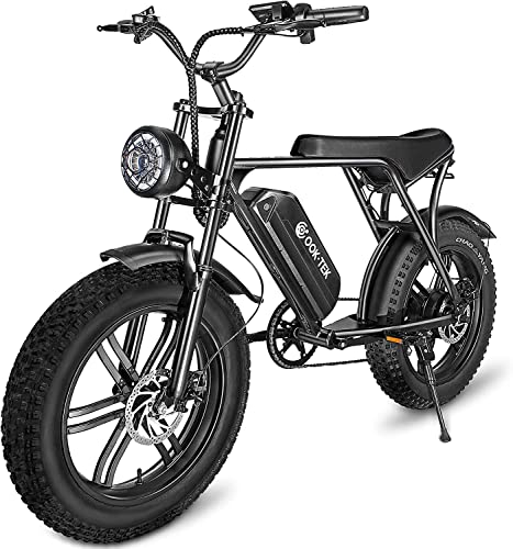 Top 10 Best 750 Watt Electric Bike : Reviews & Buying Guide - Katynel