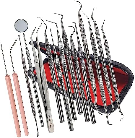 Amazon.com : Professional Dental Tarter Scraper Tool Pick, Double Ended ...