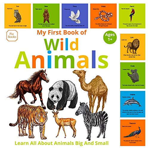 Amazon.com: My First Book Of Wild Animals: For Toddlers 1-3 Years ...