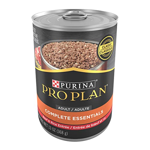 10 Best Pro Plan Adult Dog Foods: A Comprehensive Buying Guide for Pet ...