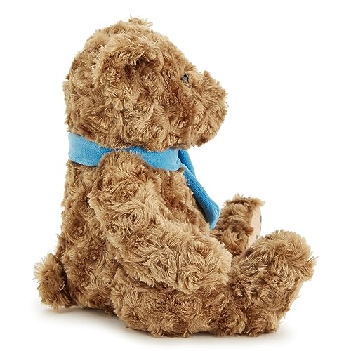 Zappi Co Congratulations Classic Soft Bear (28-30 cm) Congrats ...