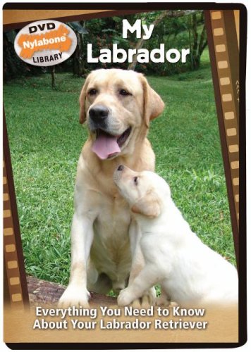 Amazon.com: My Labrador: Everything You Need to Know About Your ...