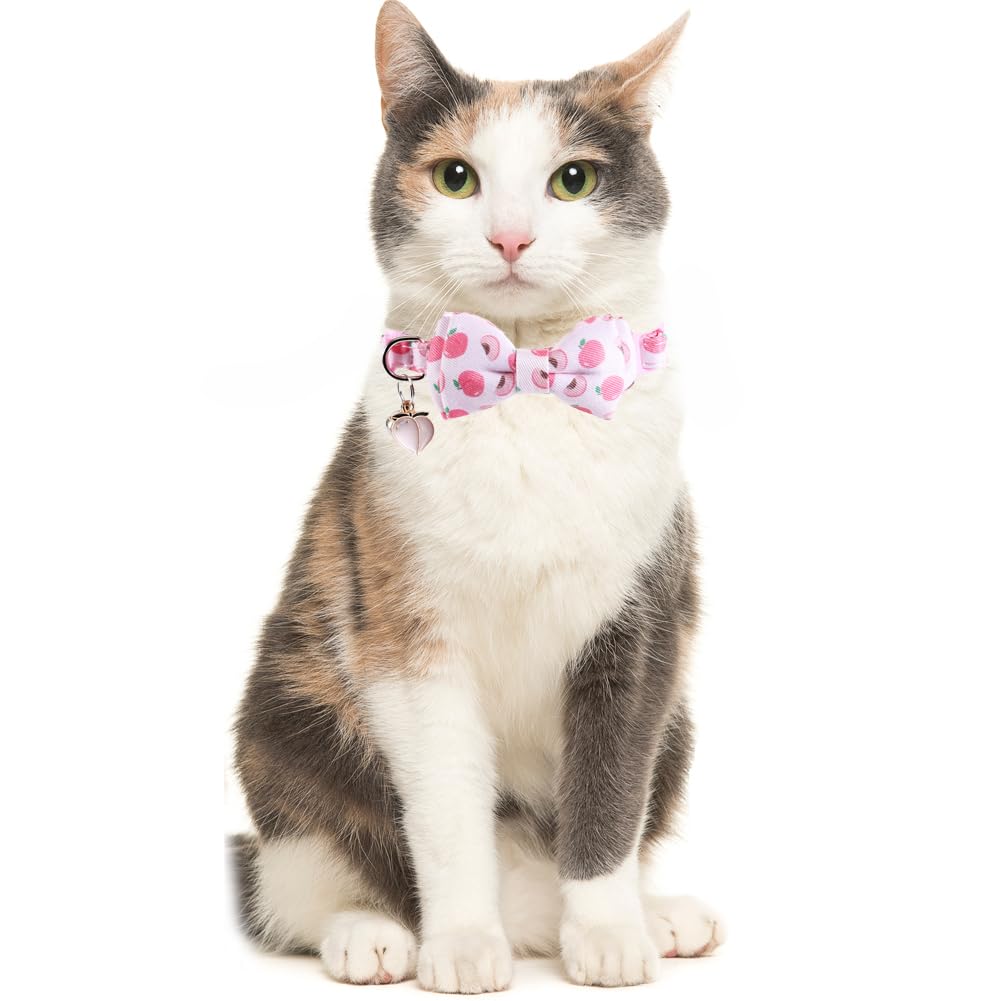 Cat Collar With Bow Lamphyface Halloween Cat Collar – Breakaway Safety ...