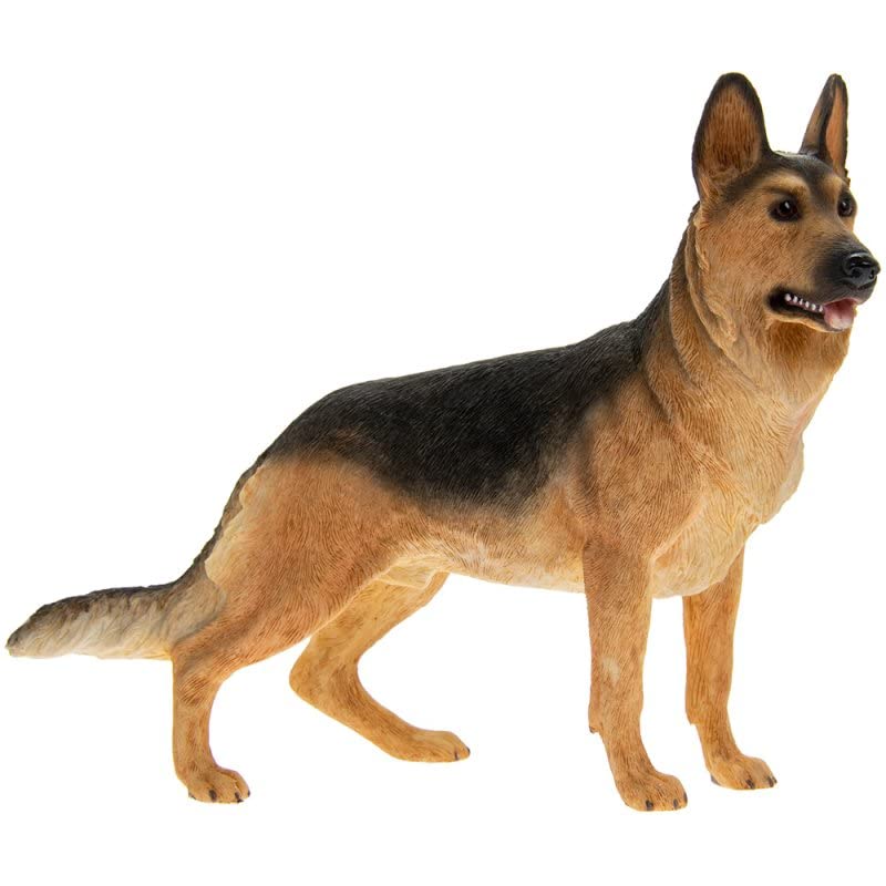 Can A German Shepherd Dog Live In Maldives
