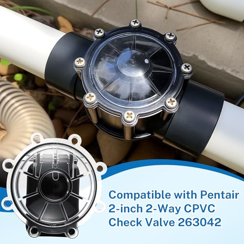 Hohean Pool Check Valve Replacement Kit, Compatible with Pentair 263042 ...