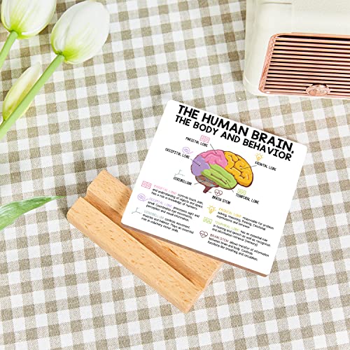 Snapklik.com : Human Brain Body Behavior Teaching Sign, Gift For ...