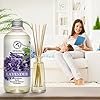 Amazon.com: Reed Diffuser Refill Lavender with Lavender Essential Oil ...