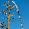 Amazon.com : Walensee Pole Saws for Tree Trimming 14 FT Lightweight ...