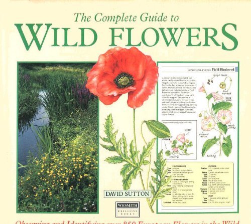 The complete guide to wild flowers: SUTTON, David: 9780906279618 ...