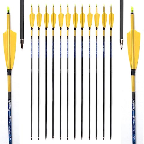 Amazon Best Sellers: Best Archery Hunting Arrows