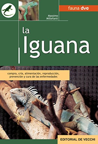La iguana (Spanish Edition) eBook : Millefanti, Massimo: Amazon.in ...