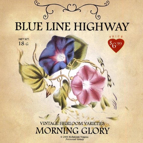 Play Morning Glory by Blue Line Highway on Amazon Music