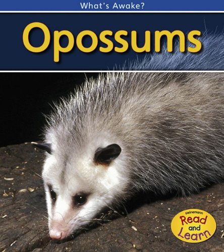 Amazon.com: Opossums (What's Awake?): 9781432926021: Whitehouse ...