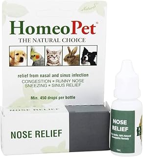 Safe Dosage Of Mucinex For Dogs: A Quick Guide | PetShun
