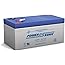 Amazon.com: ML3-12 Replacement for Toro Lawn Mower # 106-8397 BATTERY ...
