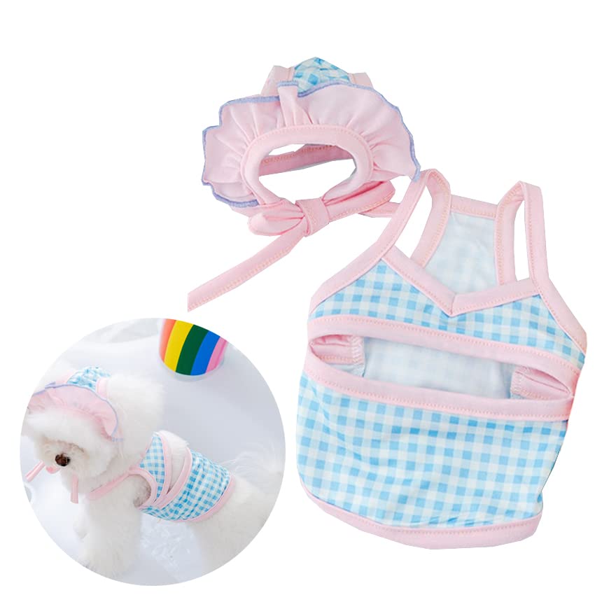 Dog Bathing Suit – The 15 best products compared - Wild Explained