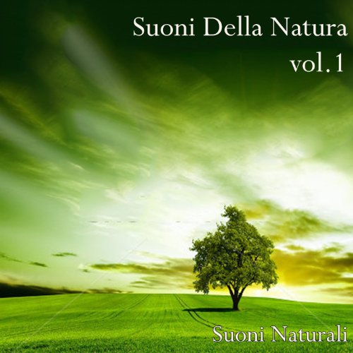 Suoni Della Natura, Vol. 1 di Suoni Naturali su Amazon Music - Amazon.it