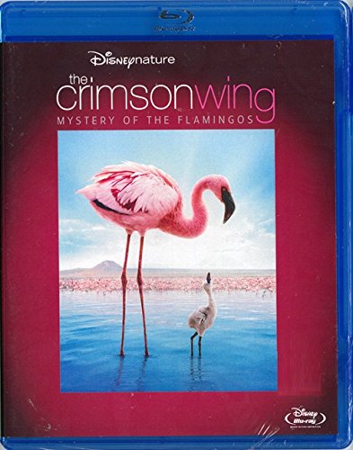 Amazon.com: Disneynature Crimson Wing Mystery of the flamingos (Blu-ray ...