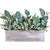 Amazon.com: Winlyn Farmhouse Eucalyptus Arrangement in Rustic ...