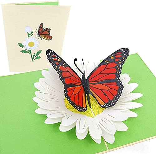 Amazon.com : PopLife Daisy Flowers Pop Up Mother's Day Card - 3D ...