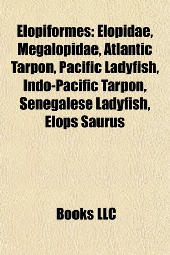 Elopiformes: Elopidae, Megalopidae, Atla : Llc, Books: Amazon.es: Libros