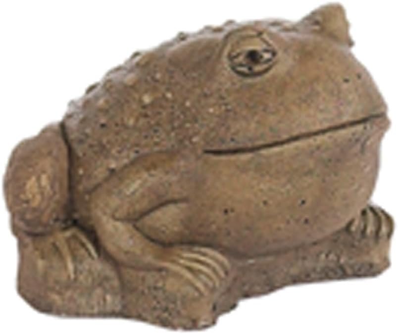 Amazon.com: Solid Rock Stoneworks Medium Frog Sculpted Eyes Concrete ...