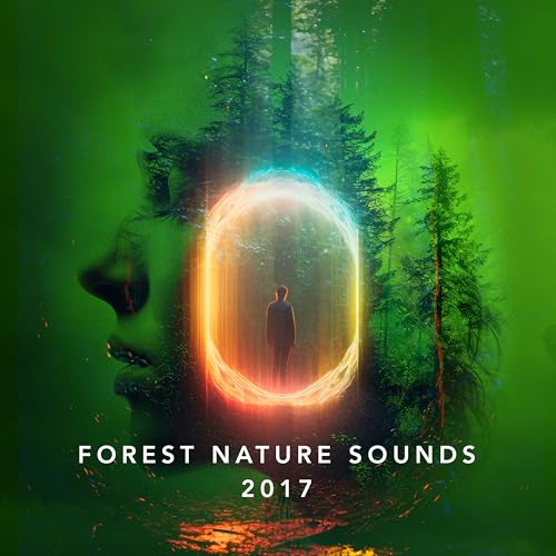 Birds in Tree Leaves song by Nature Recordings from Forest Nature Sounds 2017 on Amazon Music