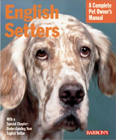 English Setters: Everything About Purchase, Care, Nutrition, and ...