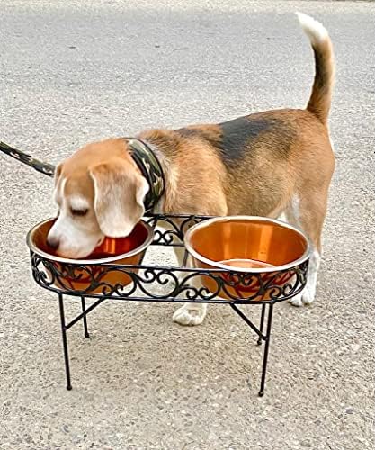 PAWSPOT Dog Bowl Food & Water 10 Inch Height Beagle, Indies, Collie ...