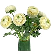 Amazon.com: Artificial Ranunculus Flowers with Real Touch Stem, Silk ...