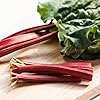 Amazon.com : Rhubarb Plant, Set 5 Rhubarb Plants Live Roots, Live ...