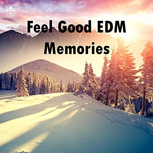 Amazon.com: Feel Good EDM Memories : VARIOUS ARTISTS: Digital Music