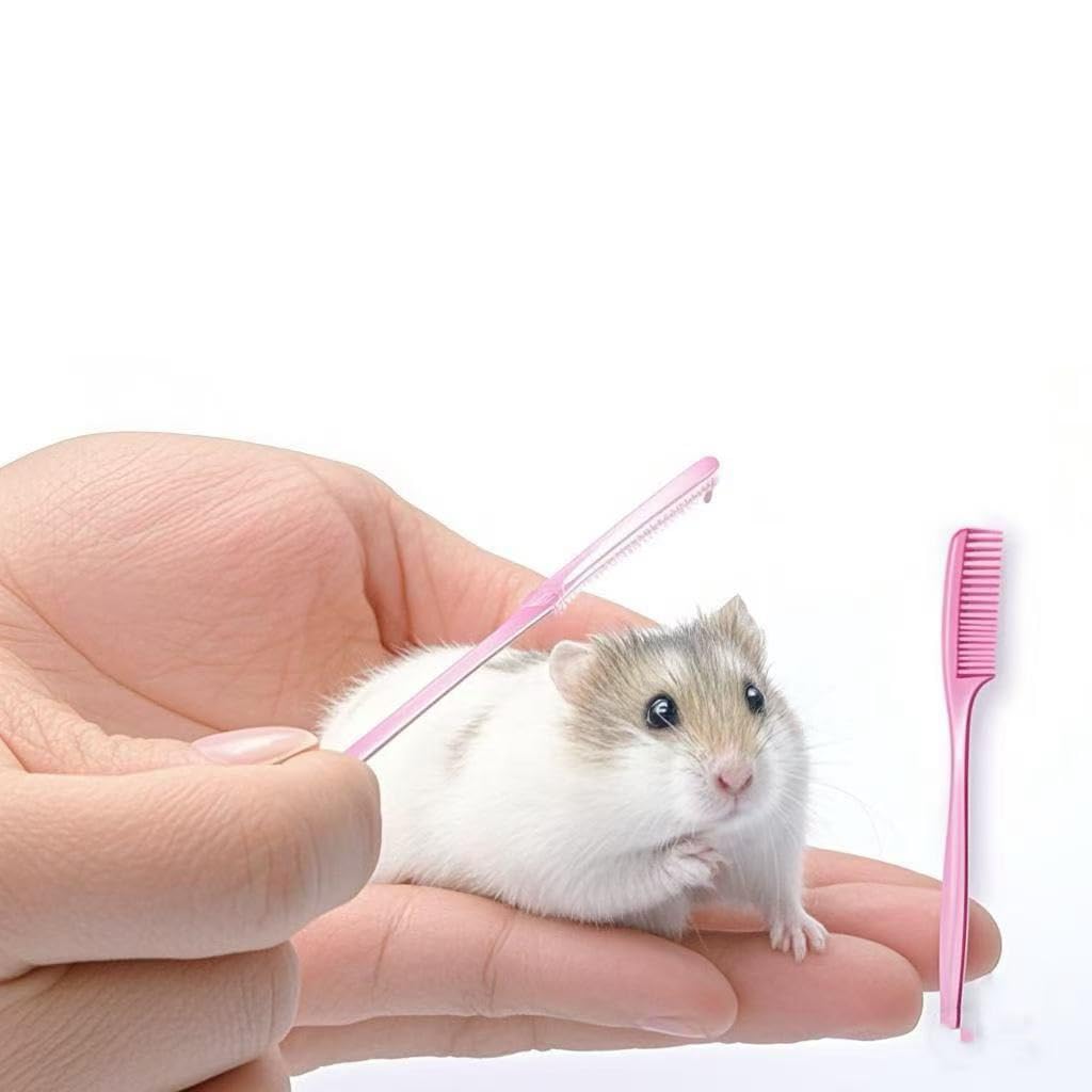 Amazon.com: 3Pcs Hamster Combs，Mini Comb for Hamsters, Rabbits, Guinea ...