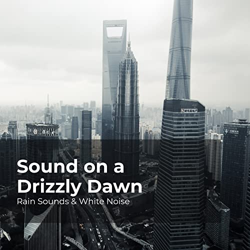 Spiele Sound on a Drizzly Dawn von Rain Sounds & White Noise, Raindrops ...