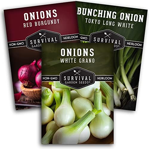 Amazon.com : Gardeners Basics, Onion Seeds for Planting - 8 Long and ...