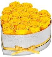 Amazon.com: pinnetetti Flowers for Delivery, 3 Pink Forever Roses in ...