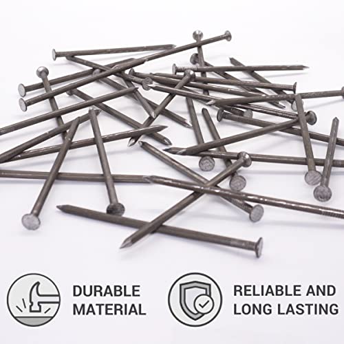 SKIR’CO (170 pcs) Steel 4.0 x 100 mm Construction Nails, Flat Round ...