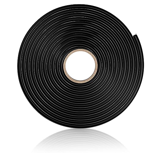 Camera Lens Fungus: 12 Essential Maintenance & Cleaning Tips | Clever ...