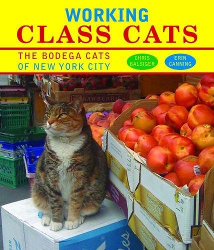 Working Class Cats: The Bodega Cats of New York City: Amazon.co.uk ...